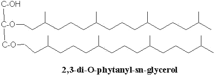 Diacylglycerols | Cyberlipid