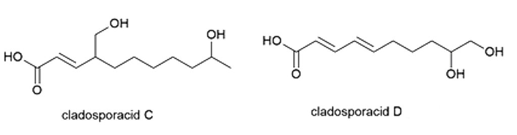 Hydroxy FA | Cyberlipid