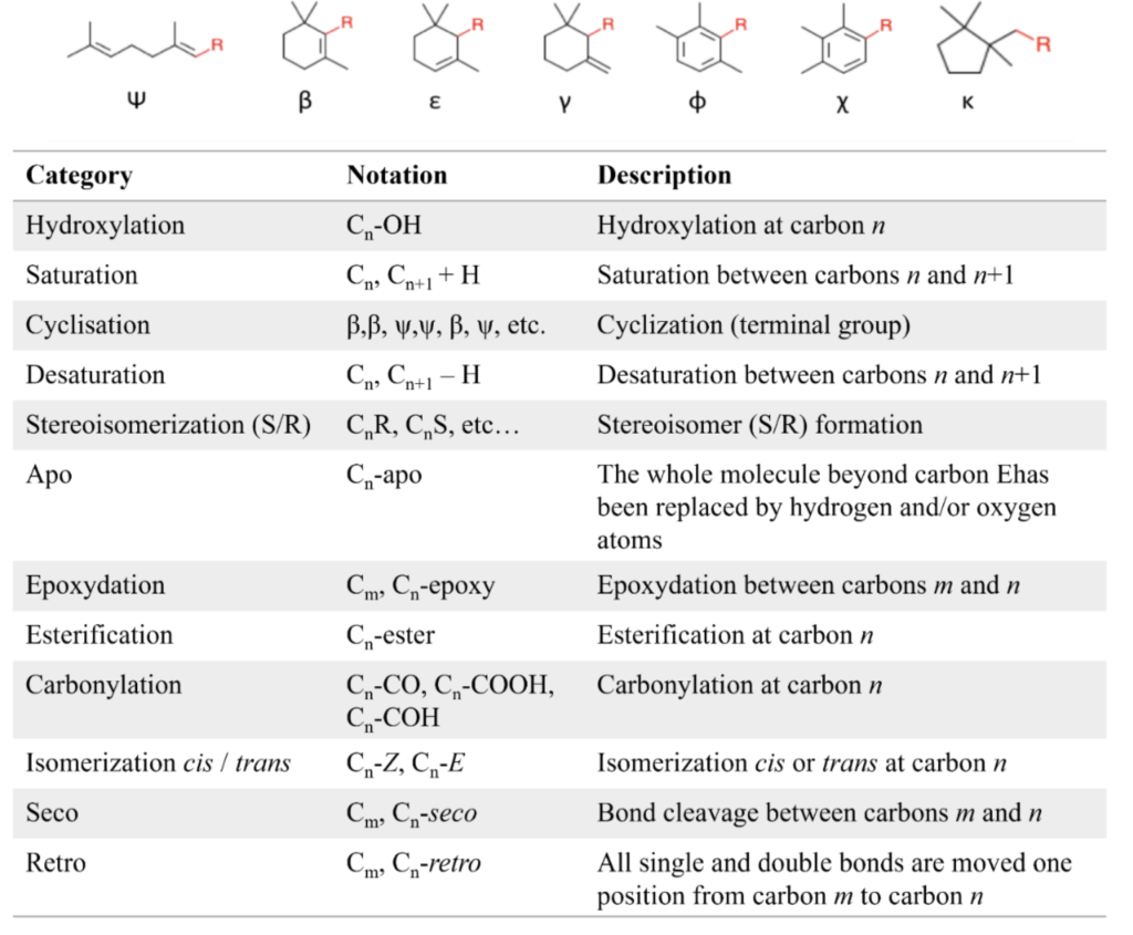 Carotenoids | Cyberlipid