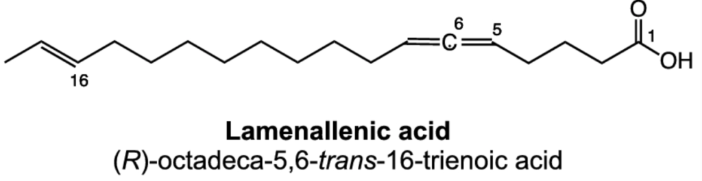 Polyenoic FA | Cyberlipid