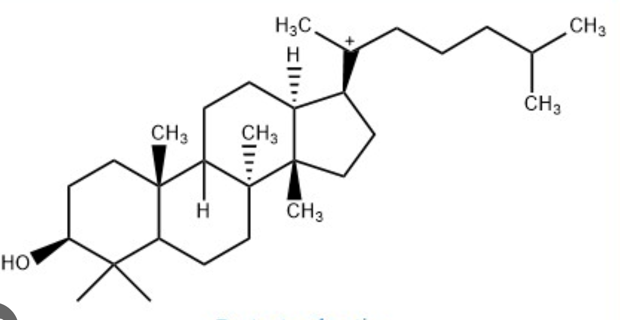 Sterols | Cyberlipid